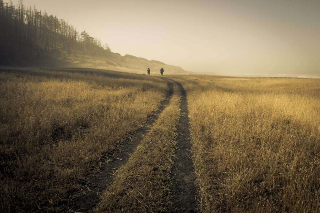 Portfolio – Andrew Lavin