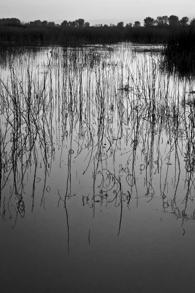 Portfolio – Andrew Lavin